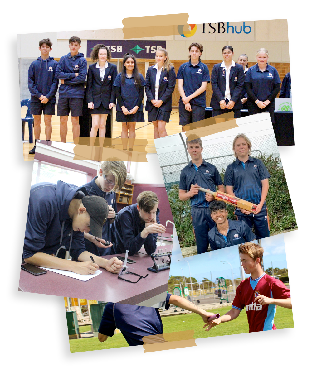 Curriculum | Te Paepae O Aotea